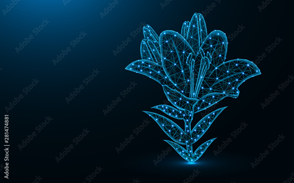 Lily flower low poly design, garden bulbous plant abstract geometric ...