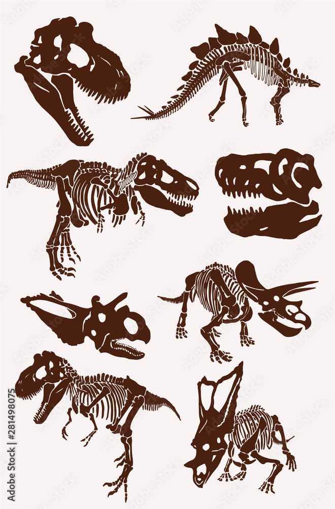 Vintage set of dinosaur skeletons ,graphical vector illustration Stock ...