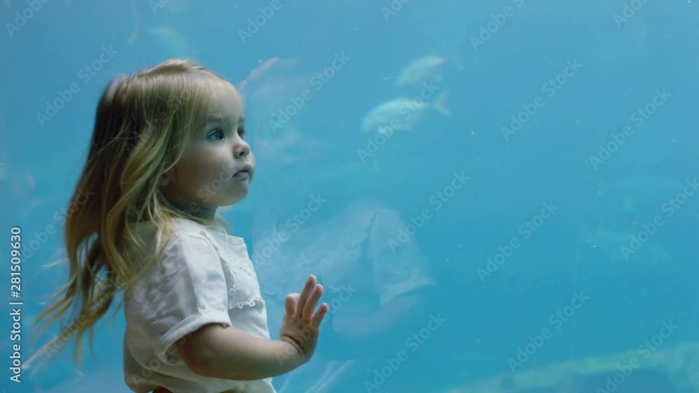 little girl in aquarium looking at fish swimming in tank happy child ...