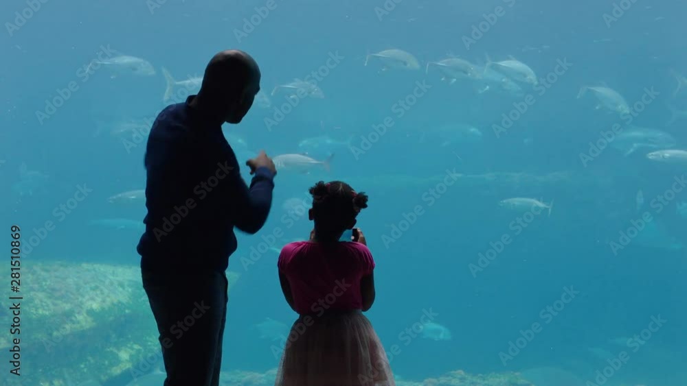 father with little girl at aquarium looking at fish tank teaching ...