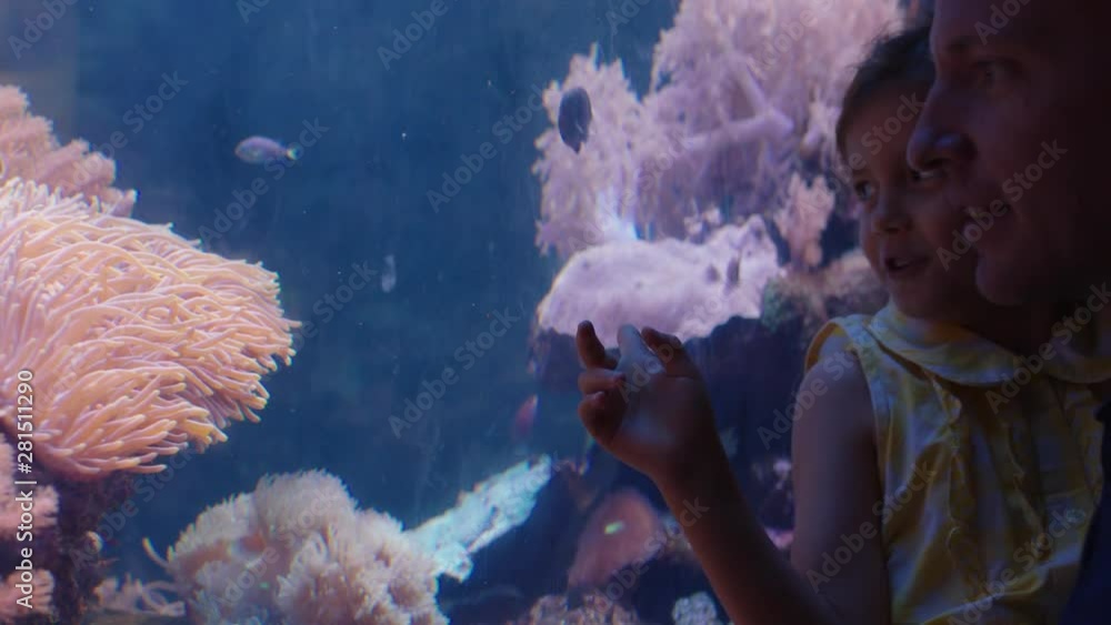 father with little girl in aquarium looking at fish swimming in coral ...