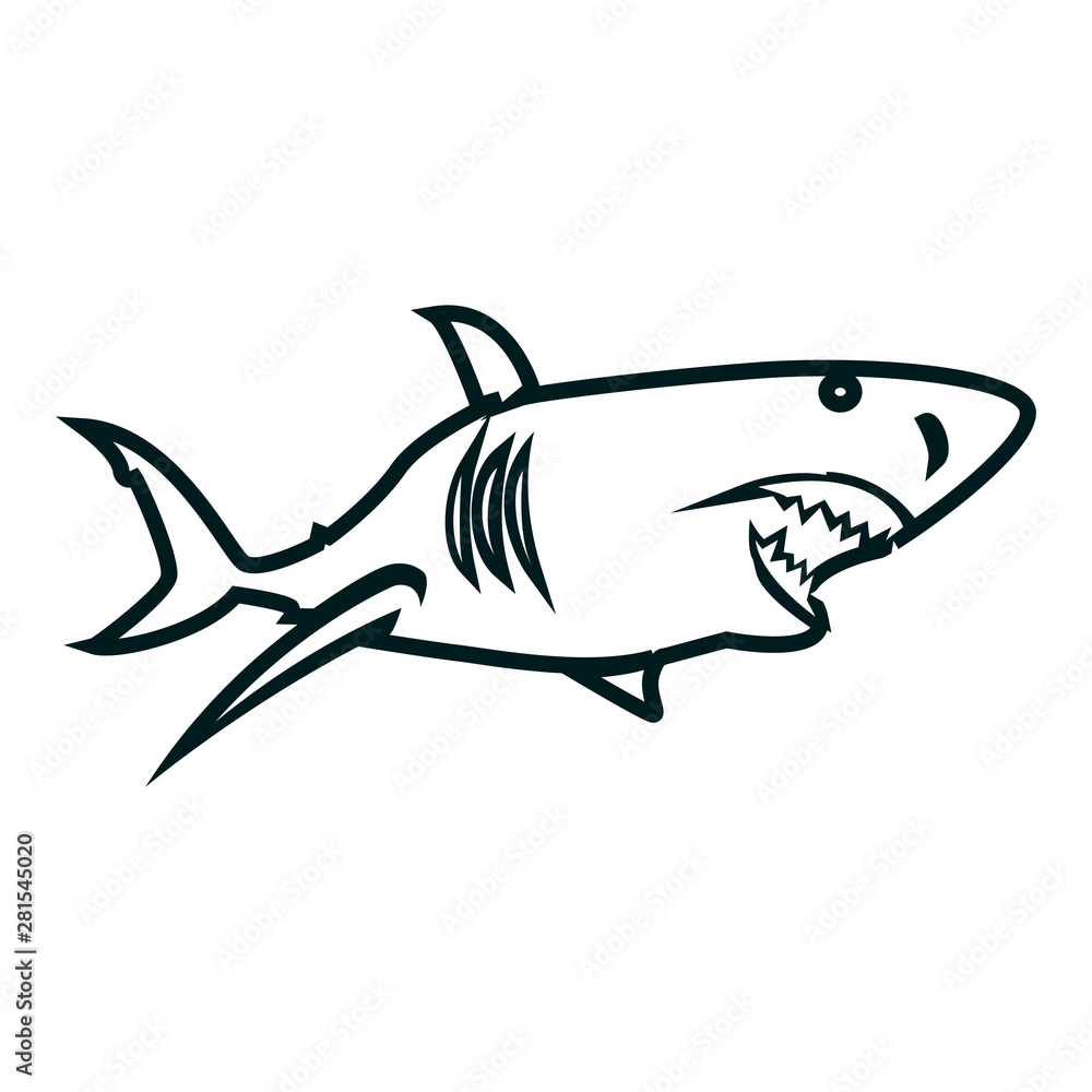 Shark line art vector illustration. Shark simple outline design Stock ...