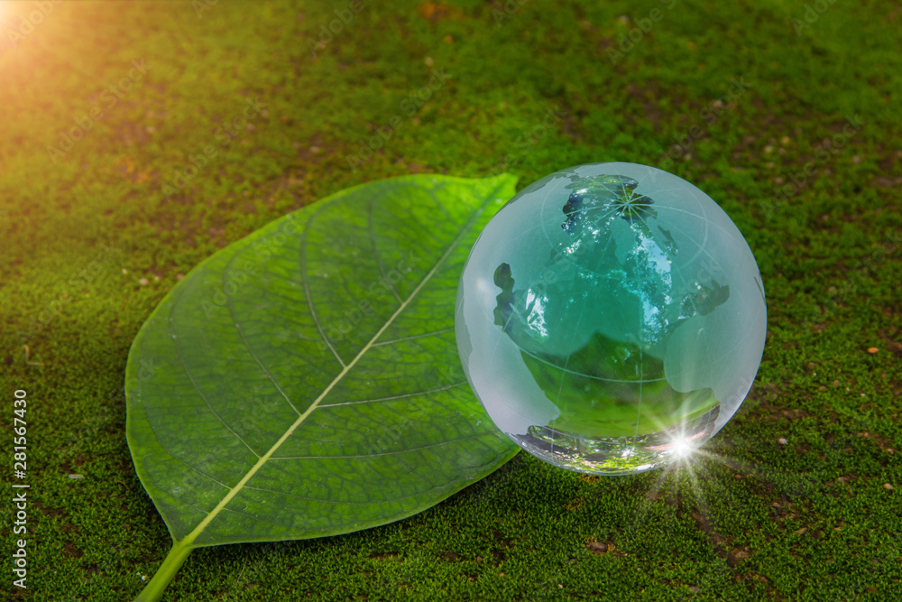 World globe crystal glass on green lush leaf on moss and reflect shine ...