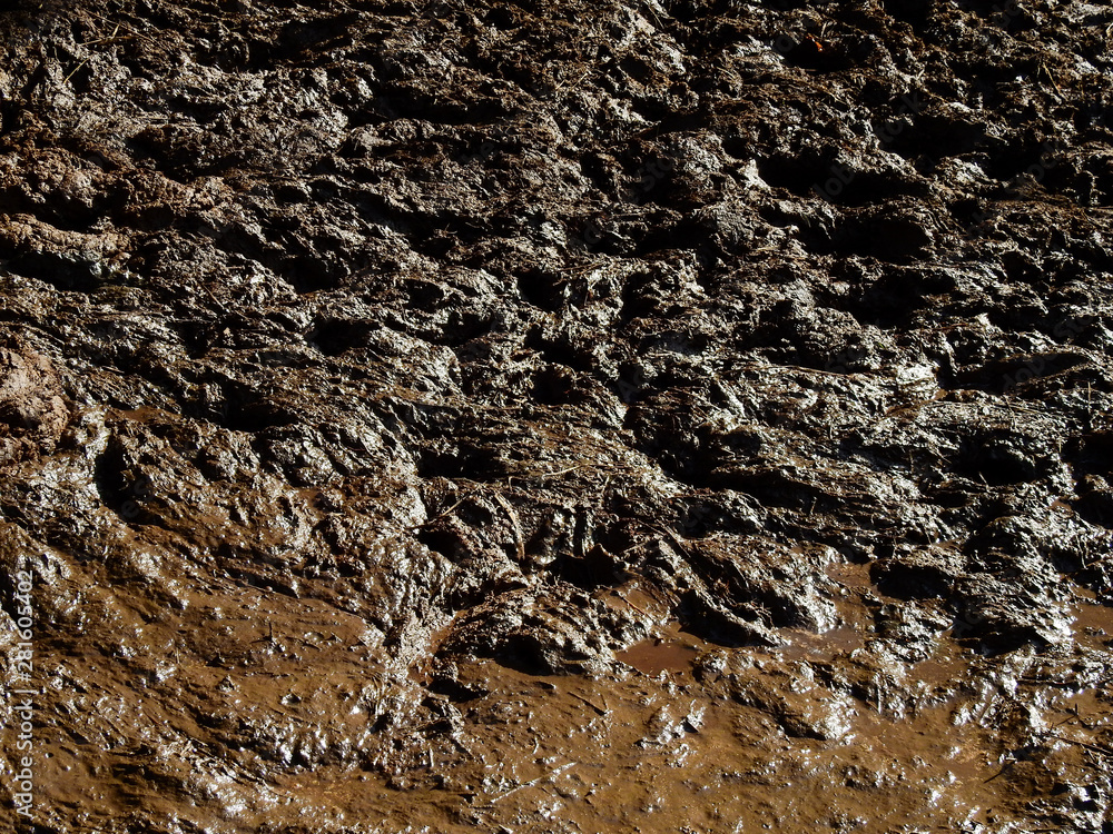 wet mud texture Stock Photo | Adobe Stock
