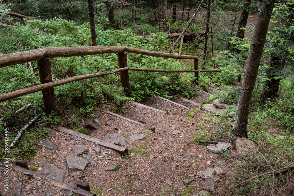 Steps from wood and stone lead through the forest in Bieszczady ...