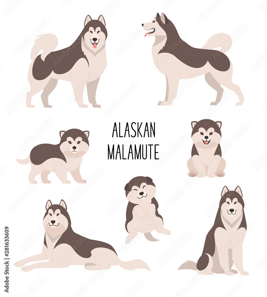Alaskan malamute. Vector illustration of cartoon cute dogs and puppies ...