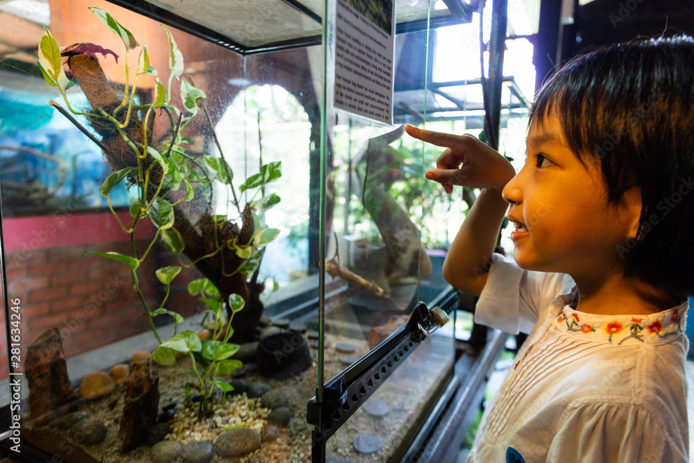 Asian Little Chinese Girl watching insects Stock Photo | Adobe Stock