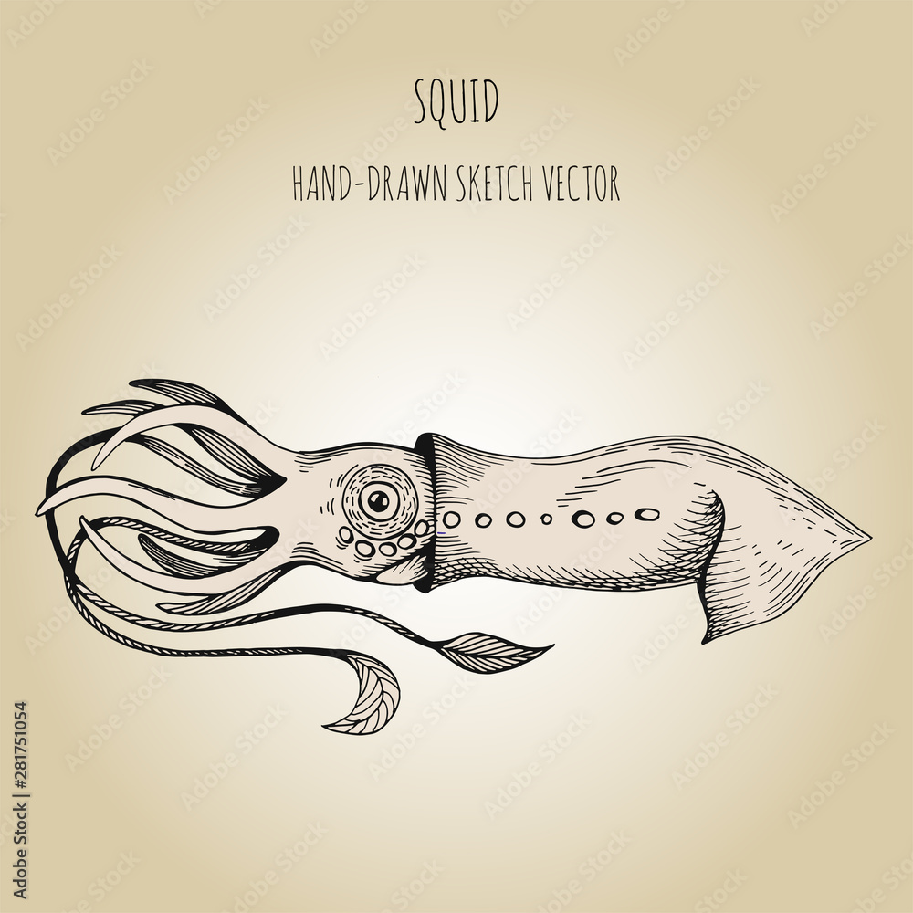 Sea Monster - Giant Squid. Hand drawn sketch vector Stock Vector ...