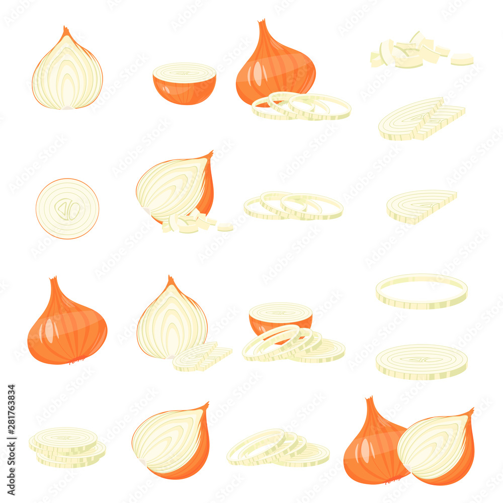 Onion cartoon illustration Isolated on white Vector Stock Vector ...