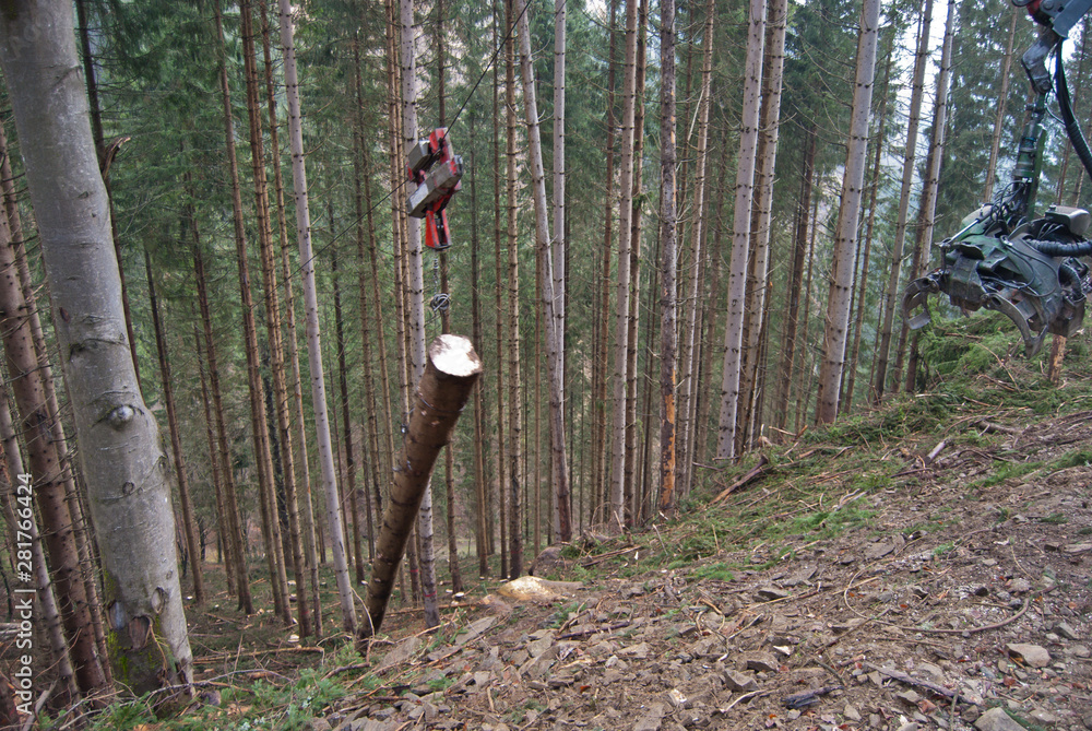 Timber harvesting a log with skyline crane and manipulator, called ...