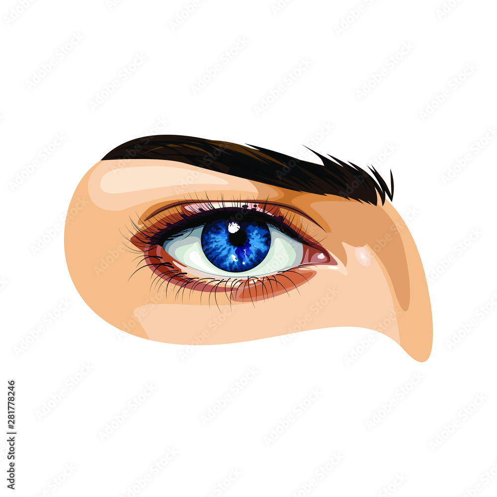 Eyes Vector Realistic
