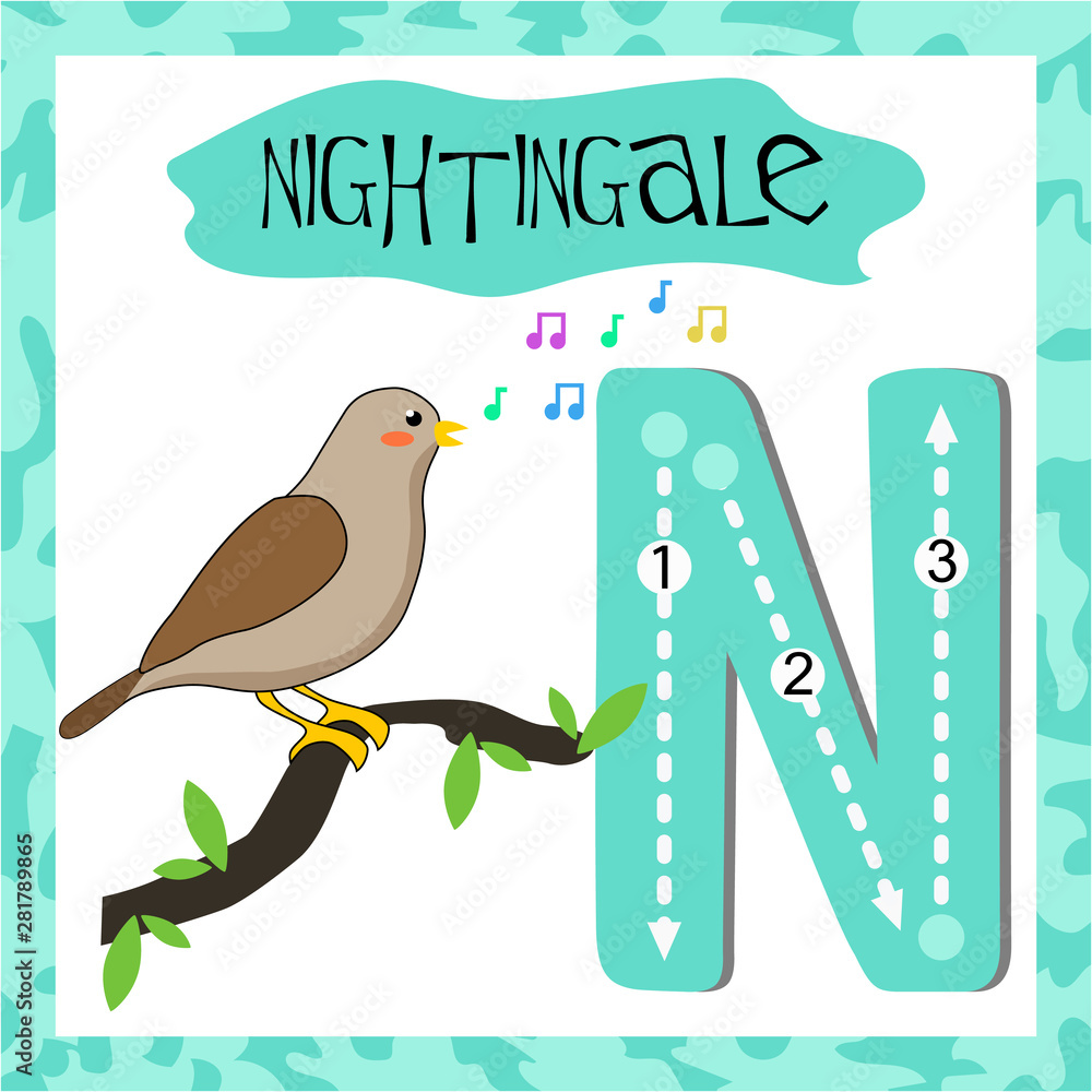 Letter N uppercase cute children colorful zoo and animals ABC alphabet ...