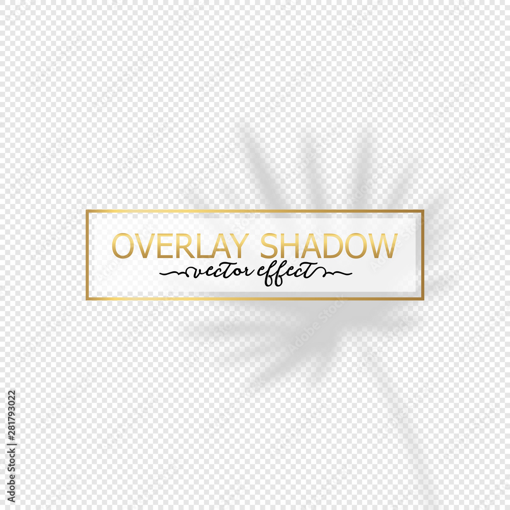 Overlay shadow effect. Vector palm leaf on transparent background. Use ...