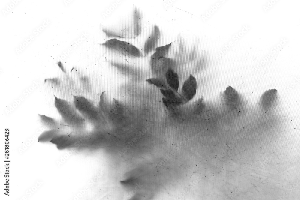 Shadows of Leaves on Trees as vintage dirty Texture or Background ...