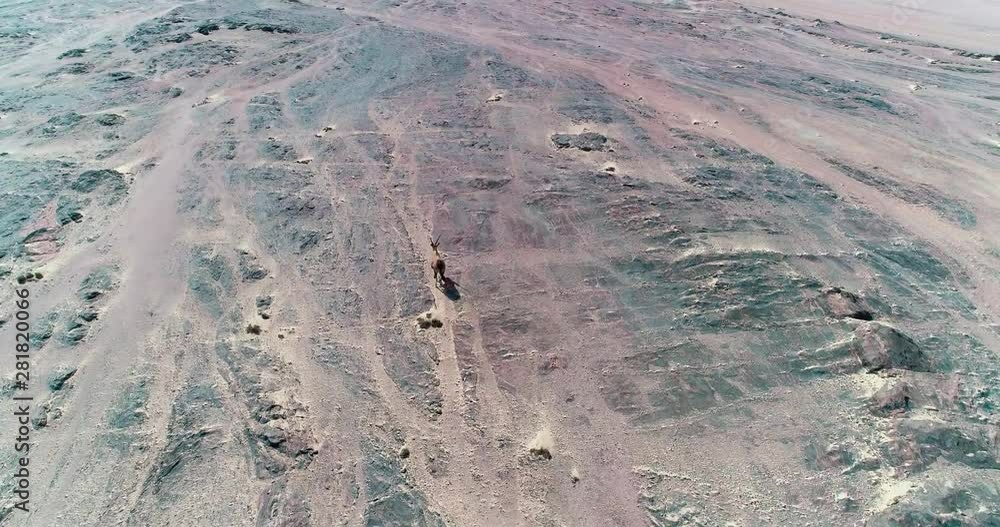 Arial birds eye view of the magnificent Namibian Skeleton Coast ...