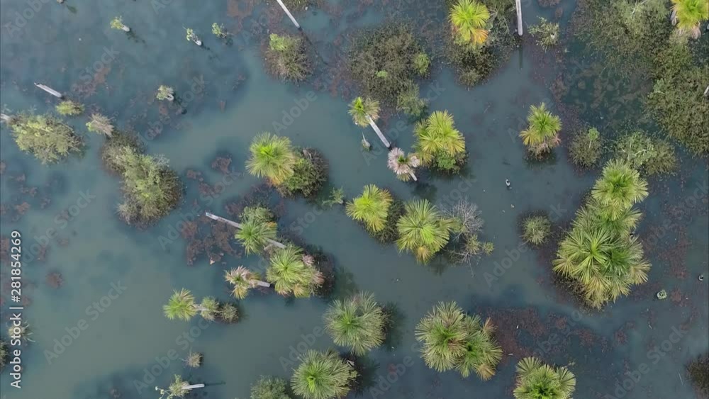 Lake view of Lago das Araras, Nobres, Mato Grosso, Brazil.Swamp and ...