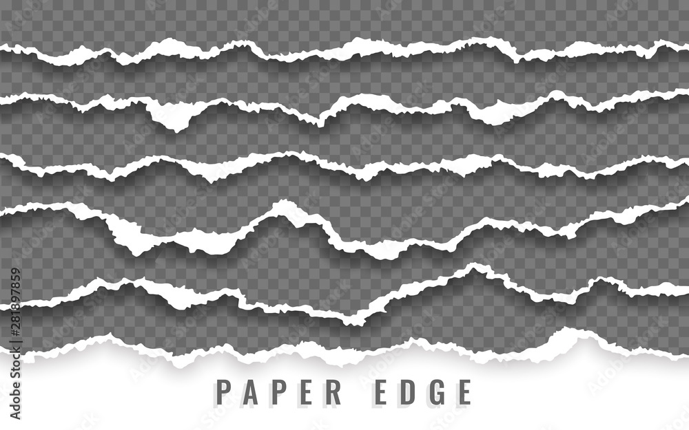Torn paper edge. Ripped squared paper strips. Vector illustration Stock ...