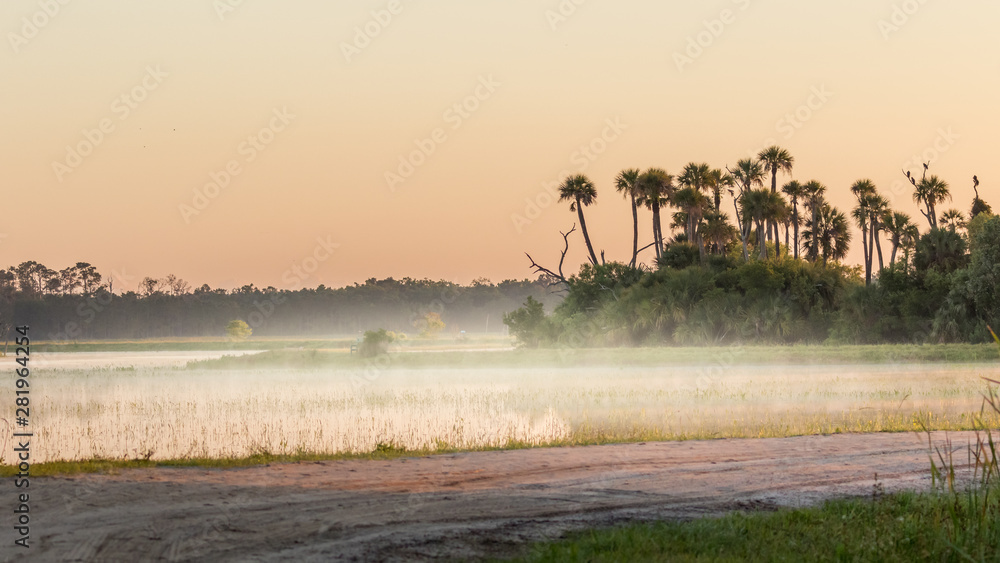 Florida nature marsh and swamp at sunrise with fog, Orlando Wetlands ...