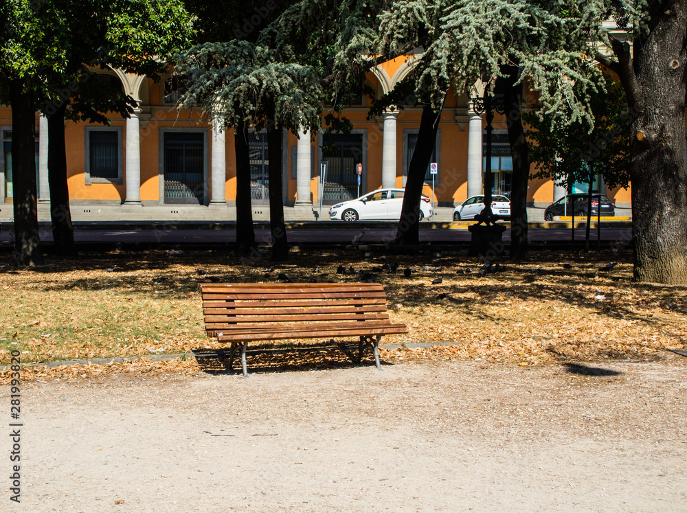 Bancos de jardim em um parque arborizado ótimo para descanso, ao redor ...