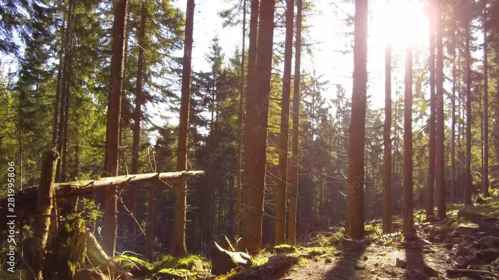 First Person View walking along the trail in the high ridge lines of ...
