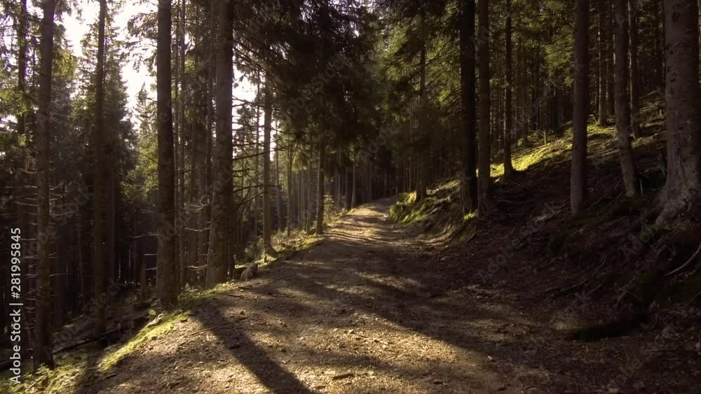 First Person View walking along the trail in the high ridge lines of ...
