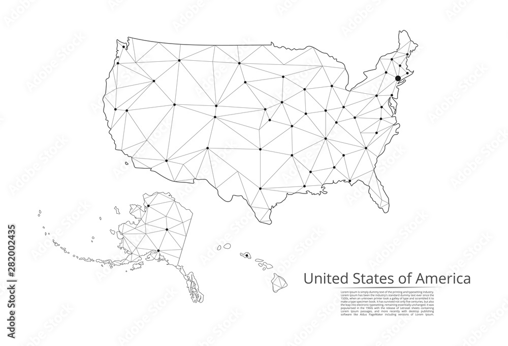The map of the network of the United States of America. Vector low-poly ...