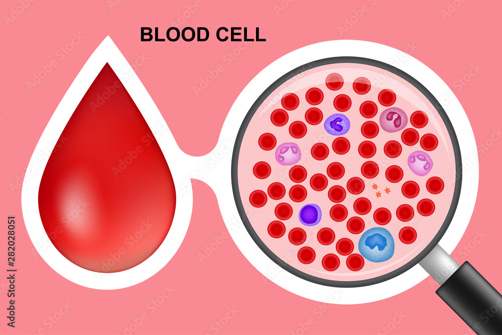 Vector illustration image of Blood in magnifying glass and blood ...