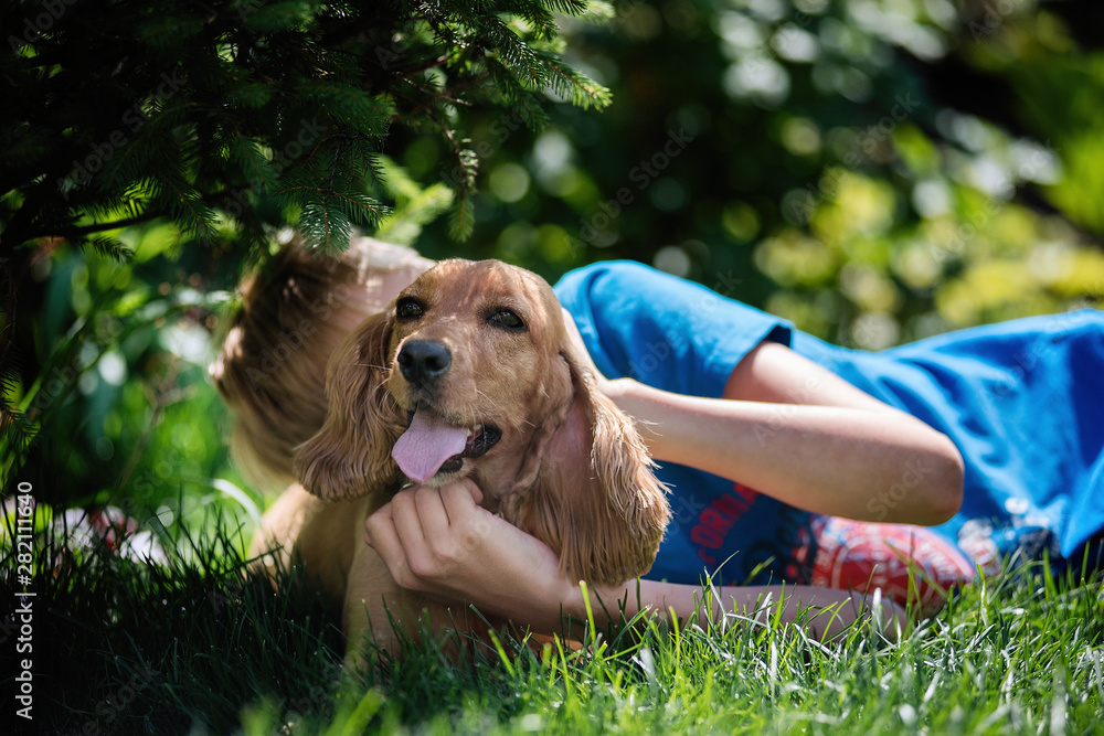 Dog Tamed