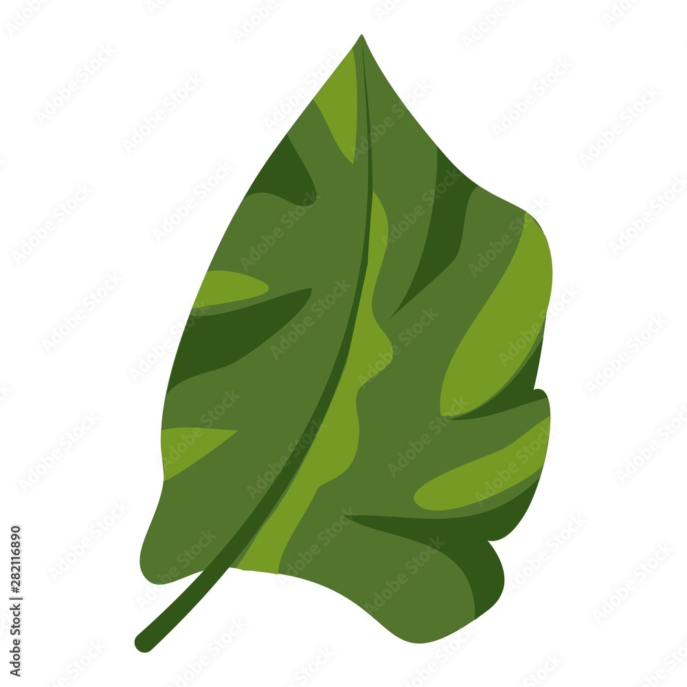 Botanical tropical leaf icon. Cartoon of botanical tropical leaf vector ...