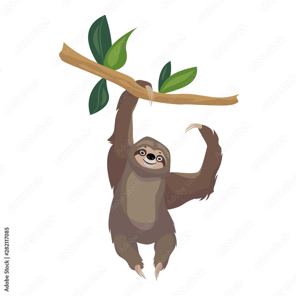 Sloth on tree branch icon. Cartoon of sloth on tree branch vector icon ...