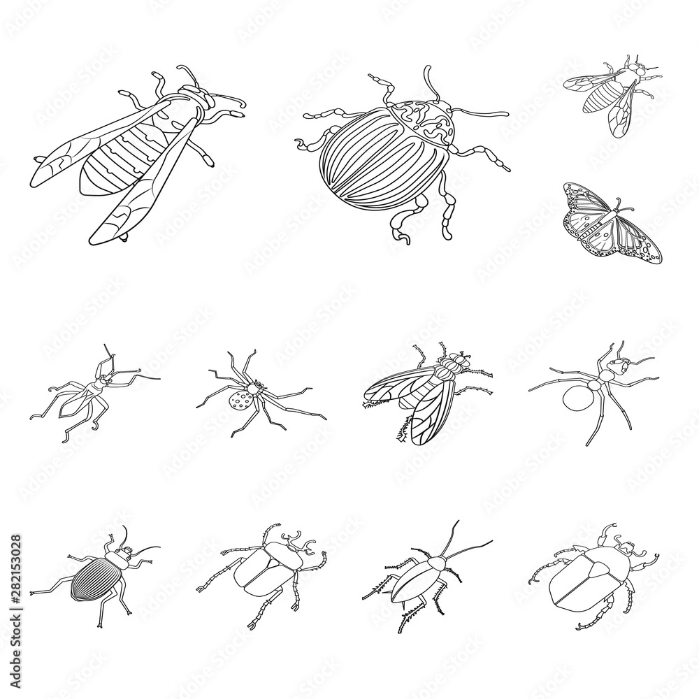 Vector illustration of fauna and entomology symbol. Collection of fauna ...