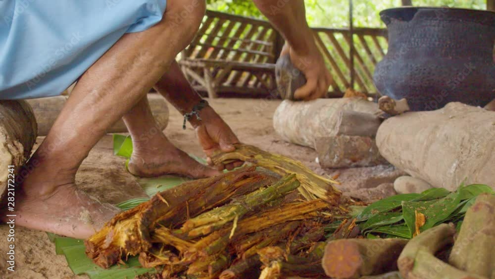 Indigenous Man Crushing Ayahuasca Sticks To Prepare Traditional Drink ...