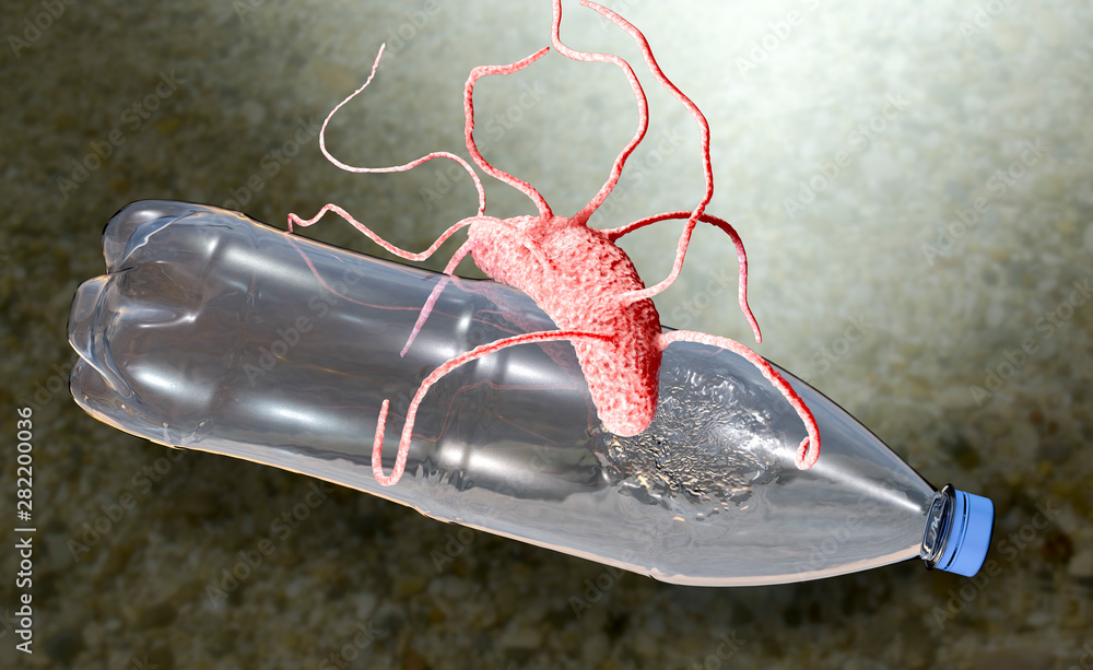 Poster Plastic-degrading bacteria Ideonella sakaiensis – Wall Art ...