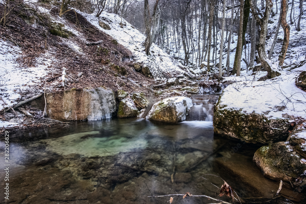 Forest Stream Winter