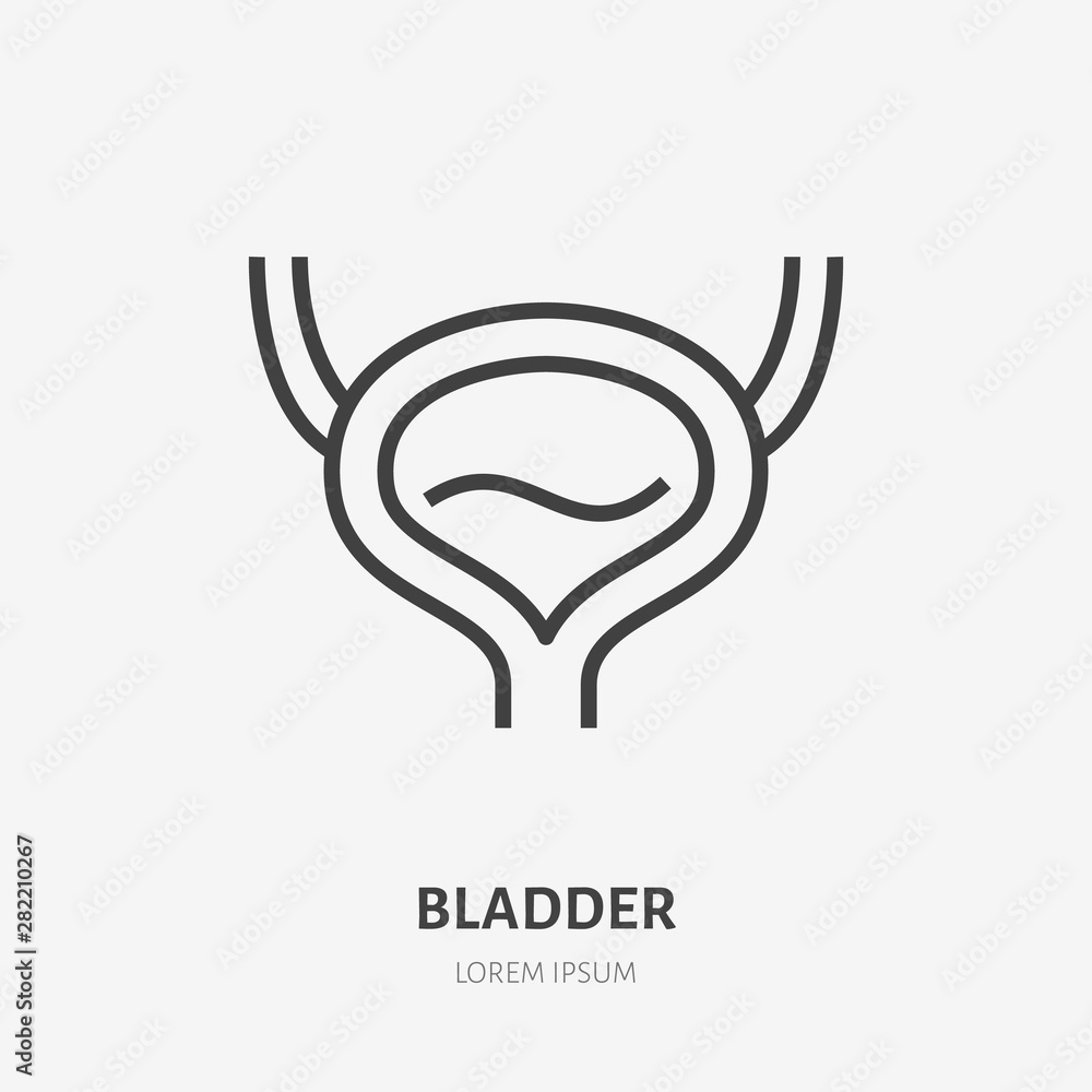 Bladder flat line icon. Vector thin pictogram of human internal organ, outline illustration for ...