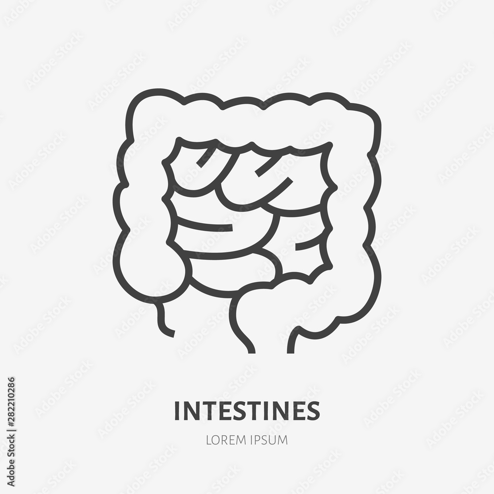 Gut flat line icon. Vector thin pictogram of human internal organ ...