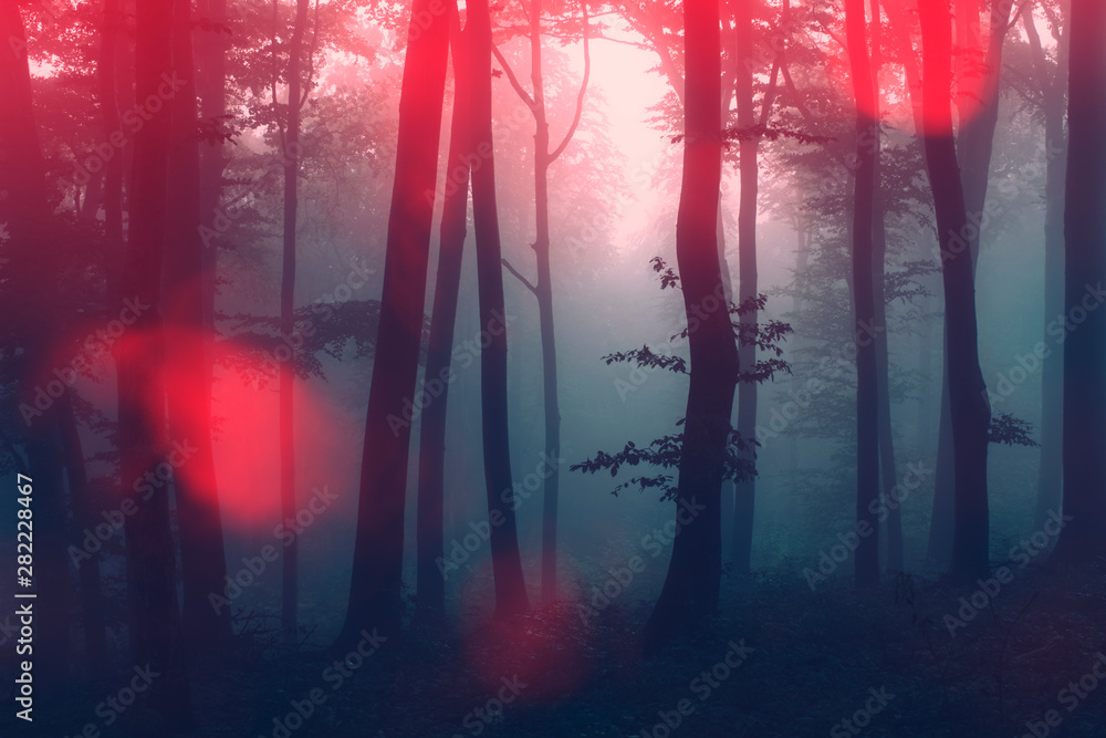 surreal fantasy forest landscape, night scene with strange light in ...