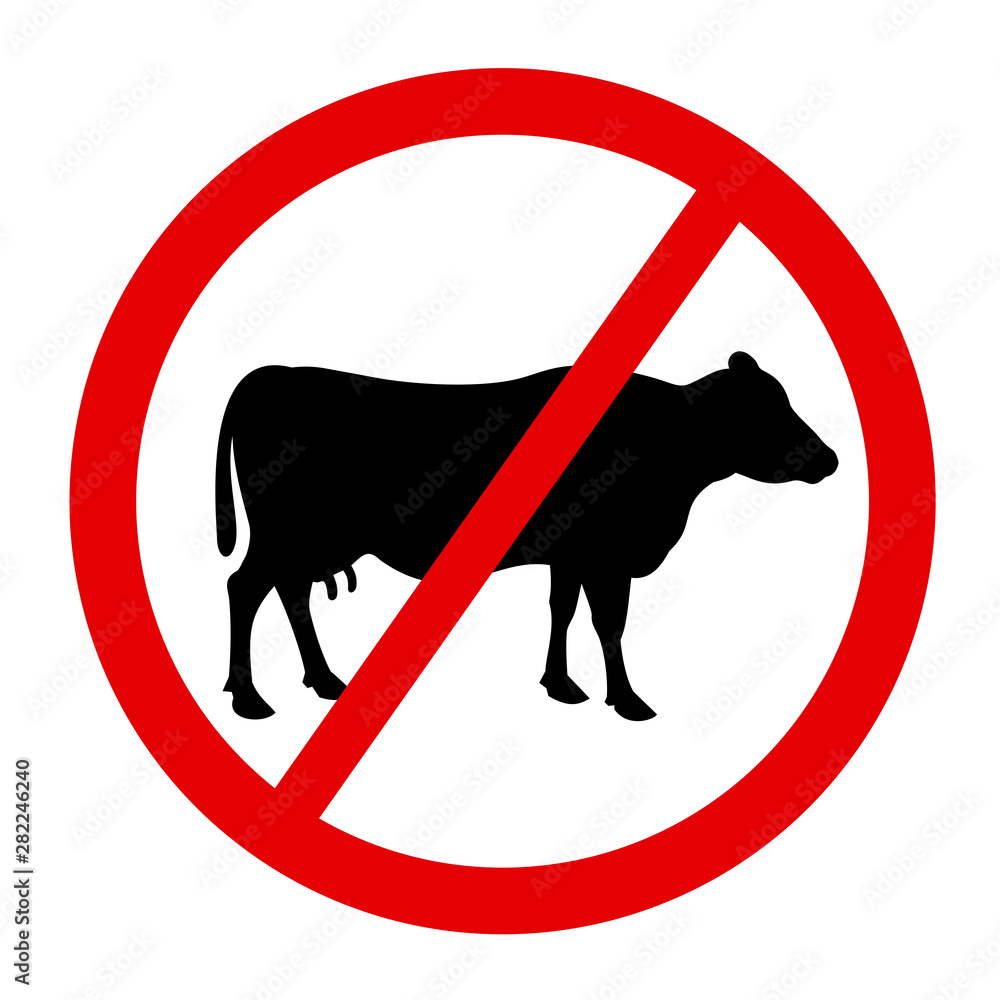 Cow, cattle, livestock and beef meat is forbidden, banned and avoided ...