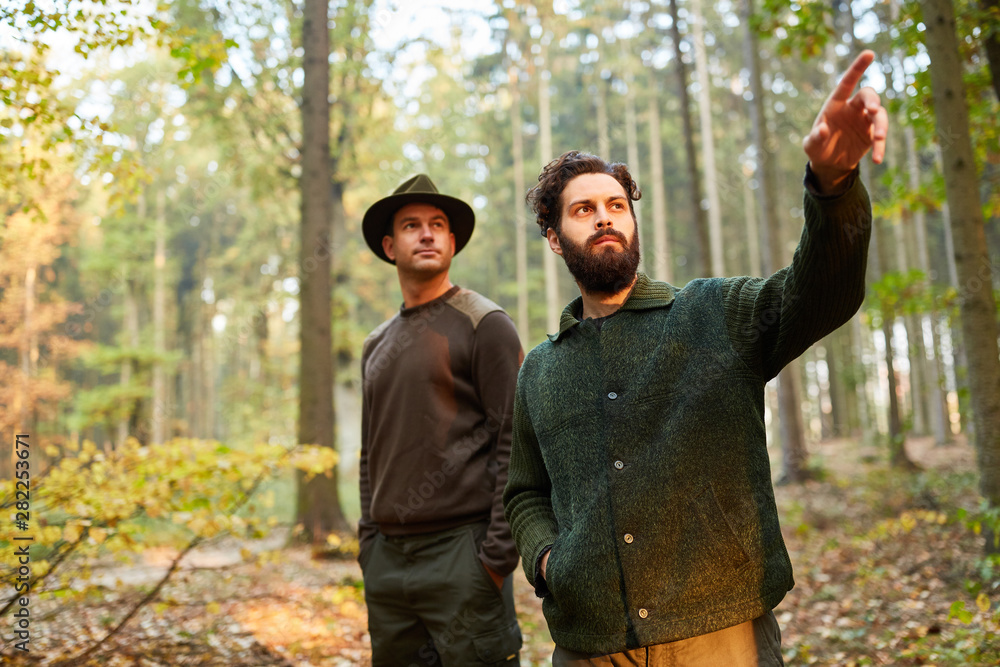 Foresters work together for sustainability Stock Photo | Adobe Stock