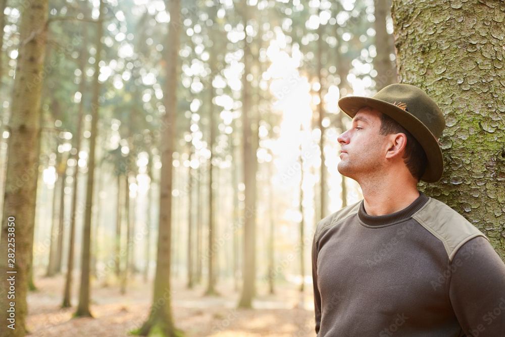 Forester with responsibility in his forest district Stock Photo | Adobe ...