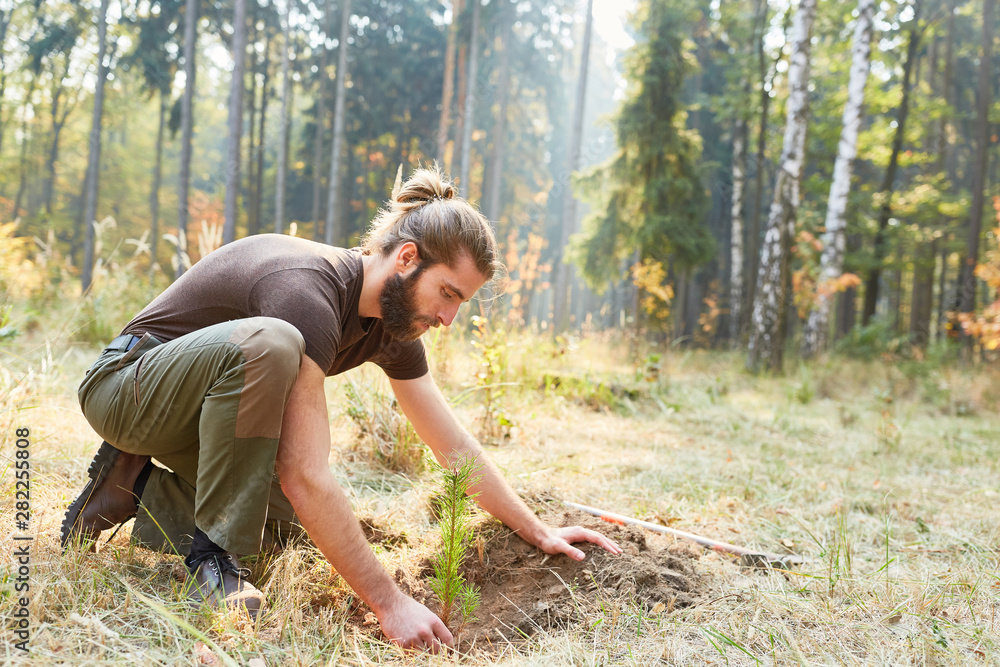 Plant foresters at the tree for reforestation Stock Photo | Adobe Stock