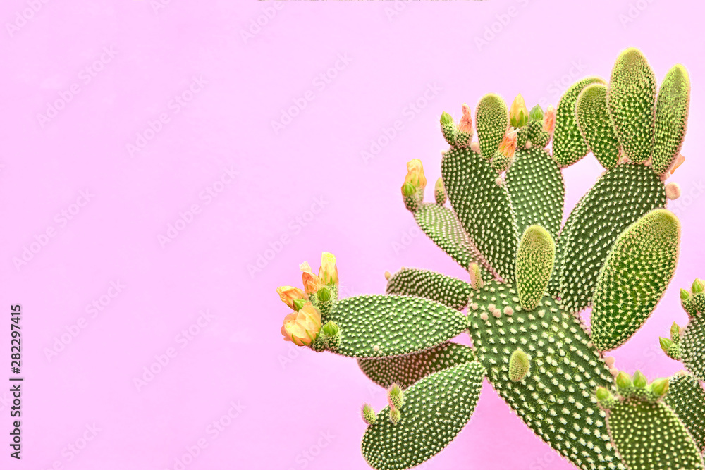 Trendy tropical Green Neon Cactus plant on Purple Color background ...