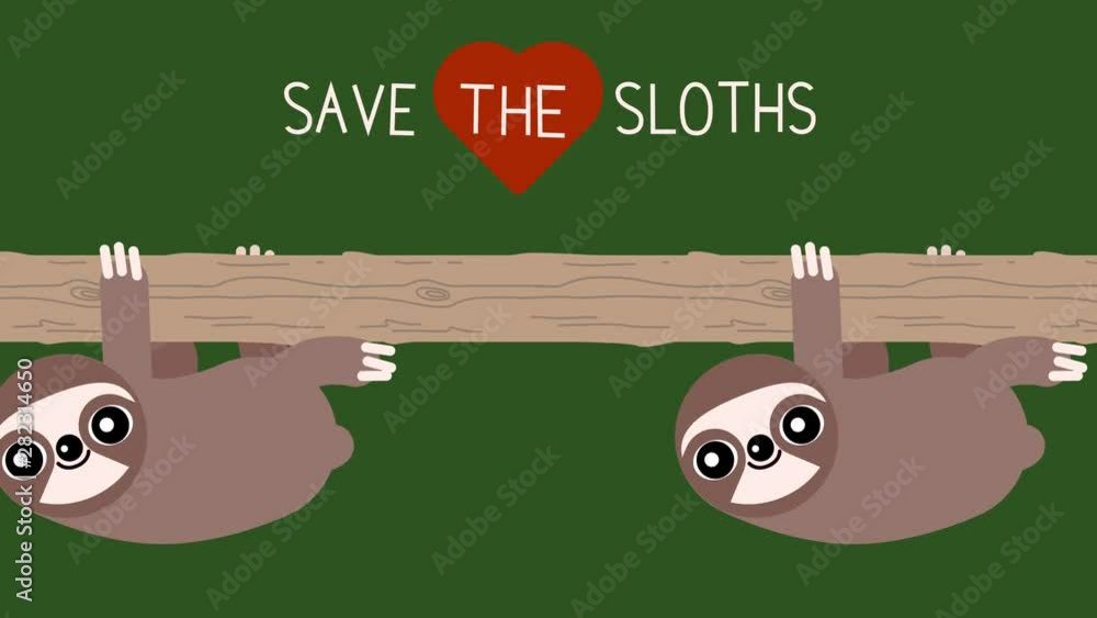 100 baby animals. Walk cycle of a cute baby sloths. Three-toed Sloths ...