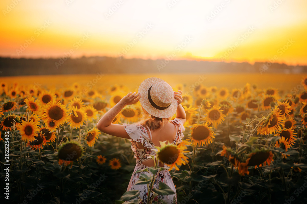 bright delightful atmospheric photo, summer field of sunflowers, large ...