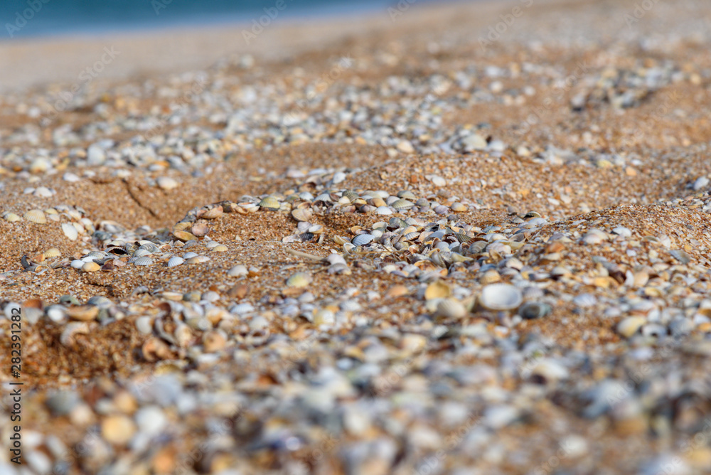 sandy beach and small shells in the sand on a clear sunny day. Stock ...