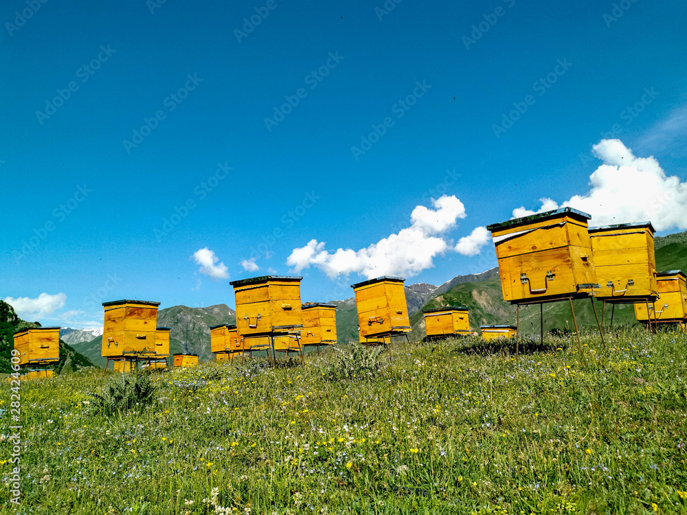 Bee hives in the mountains Stock Photo | Adobe Stock