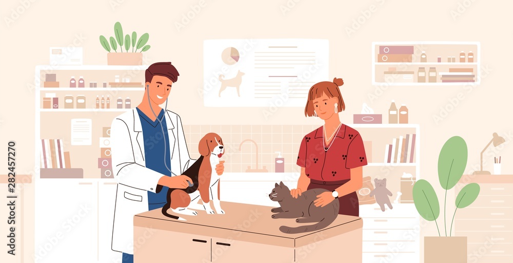 Smiling veterinarian examining dog and cat. Vet doctor curing cute pets ...