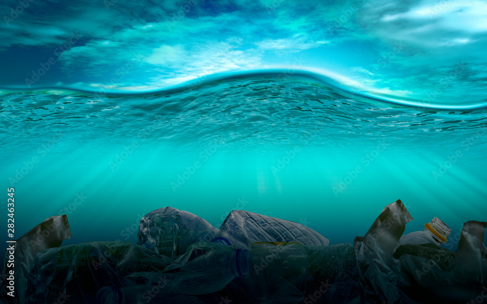 Plastic pollution in marine environmental problems Animals in the sea ...