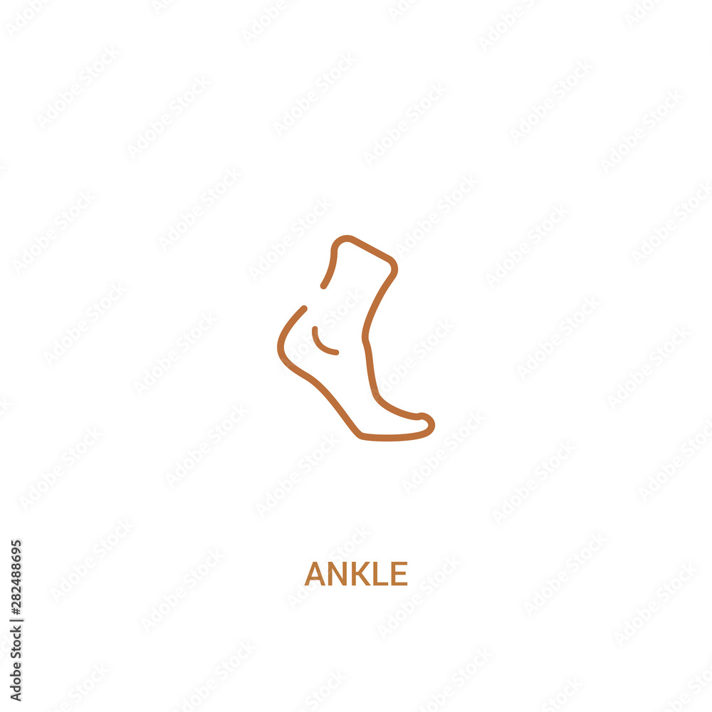 ankle concept 2 colored icon. simple line element illustration. outline ...