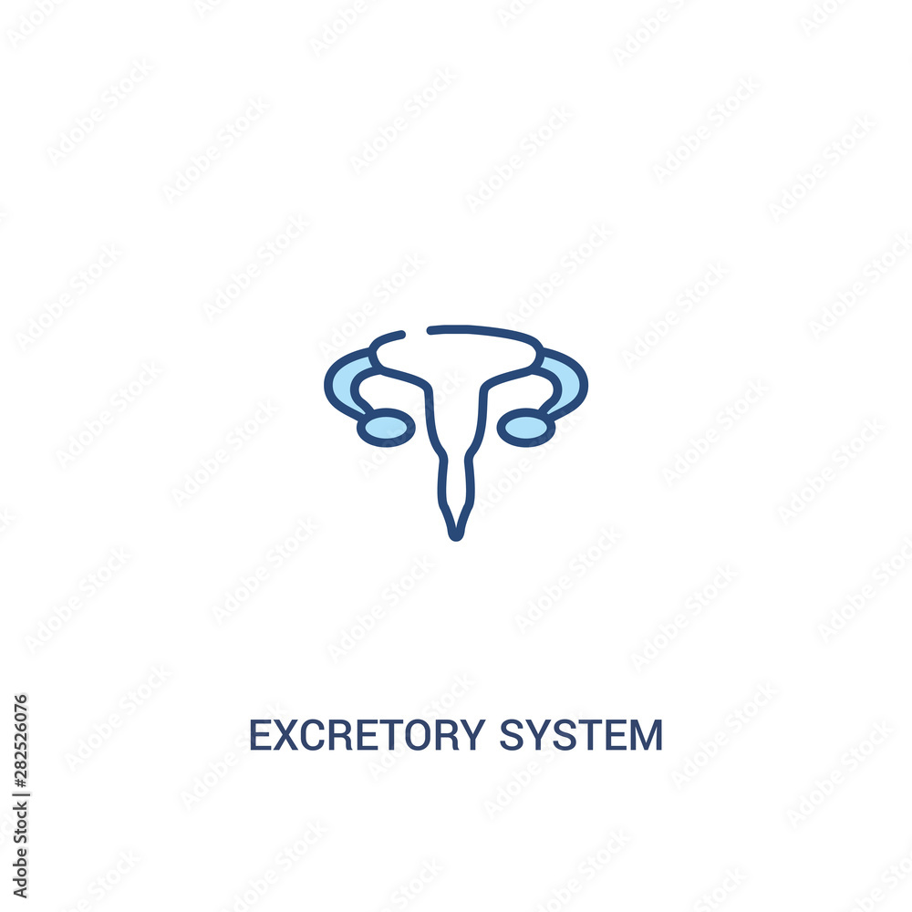excretory system concept 2 colored icon. simple line element ...